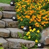 Nature Spring Solar-powered Led Rock Lights – Black And Gray, 4-pack ...