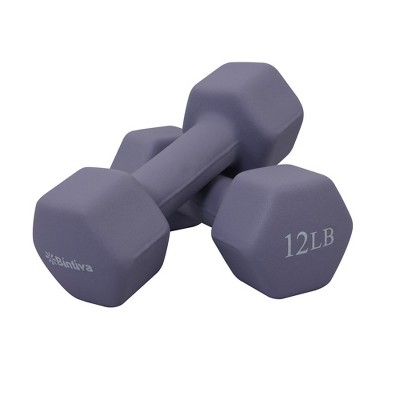 Rubber Coated Hexagon Dumbbells - Set Of 2 -12lb : Target