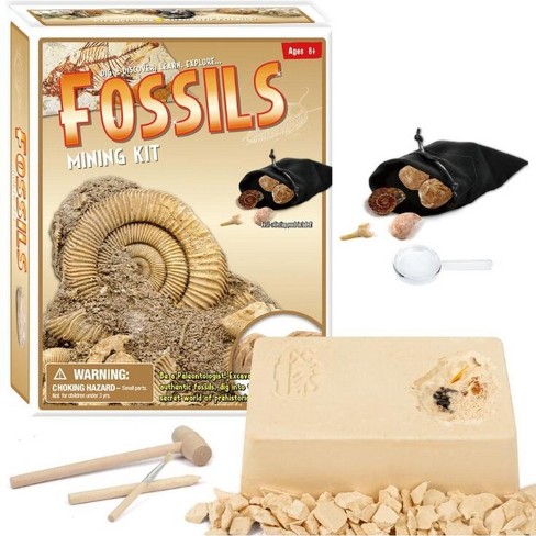 Juztoys Fossile Dig Kit, Dinosaur Digging Kids Activities, Educational ...
