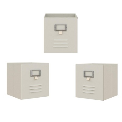 Storage Lockers : Target