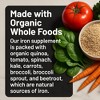 NatureWise Vegan Iron Supplement for Women & Men - Coated Iron ...