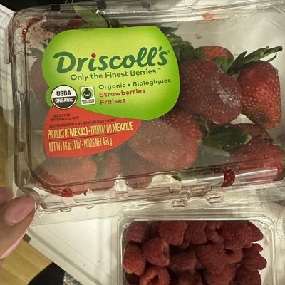 Organic Strawberries - 16oz : Target