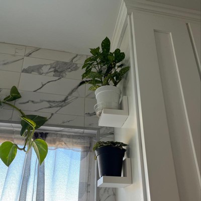 Command Display Ledges White : Target