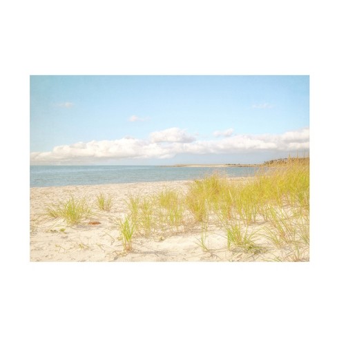 Trademark Fine Art - Brooke T. Ryan Bright Beach Grass Canvas Art - 47 ...