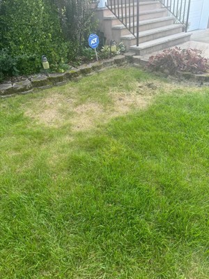 Scotts Turf Builder Weed And Feed Fertilizer 11.57lbs : Target