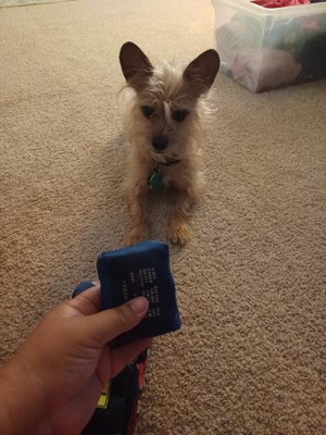 Bark Netflix Stranger Things The Palace Barkade Plush Dog Toy : Target