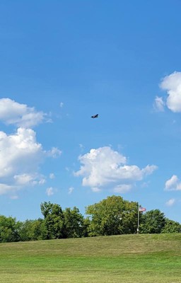 Sky Viper Vector Performance Stunt Jet : Target