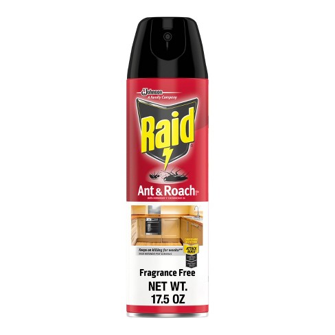 Raid Ant And Roach Killer Bug Spray - Fragrance Free - 17.5oz : Target