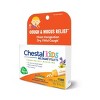 Chestal Kids Pellets 2 Mdt By Boiron Homeopathic Medicine For Cough ...