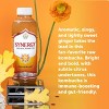 Synergy The Real Kombucha, Gingerade – 16 fl oz : Target