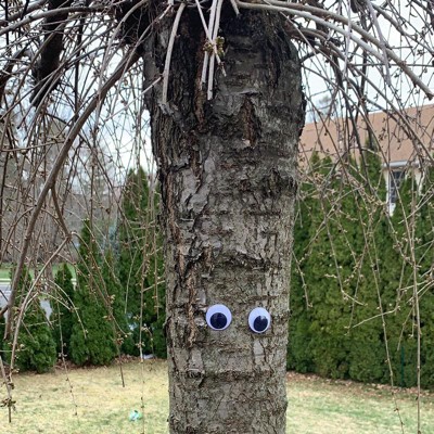 125ct Googly Eyes With Sticker Back Black - Mondo Llama™ : Target