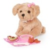 Our Generation Jin & Charm 18" Doll & Pet Set : Target