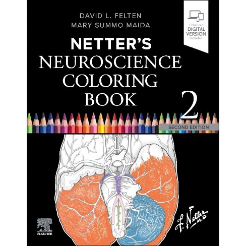 Netter's Neuroscience Coloring Book - 2nd Edition By David L Felten ...
