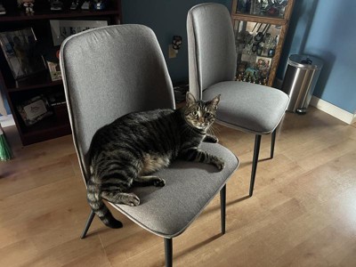 2pk Candelaria Upholstered Dining Chairs - Project 62™ : Target