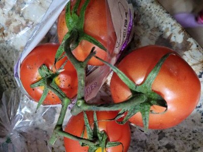 Organic On-the-vine Tomatoes - 1lb - Good & Gather™ : Target