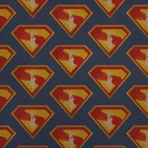 Superman 2025 Movie Take Me Home Shield Premium Kraft Roll Gift Wrap ...