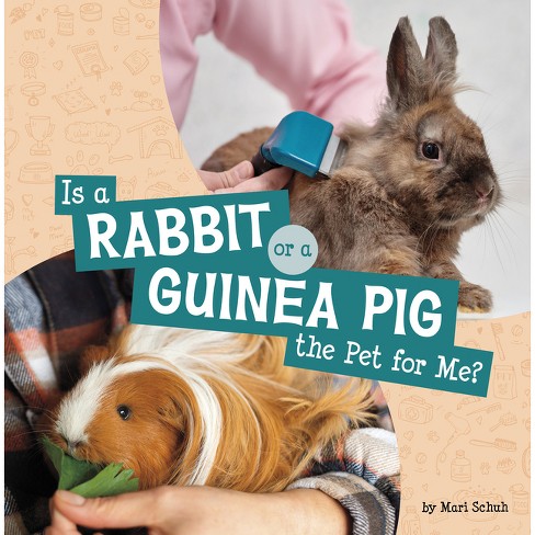 Is A Rabbit Or A Guinea Pig The Pet For Me? - (this Or That Pets) By ...