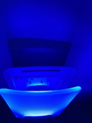 Stem Flying Insect Light Fly Trap Starter Kit - 2 Unit + 2 Refill : Target