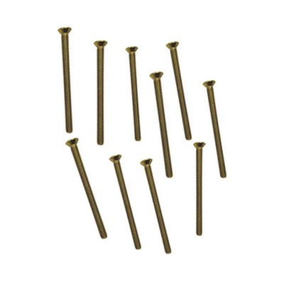 Screws Stainless Steel Screws - 20 Pieces - Gold : Target