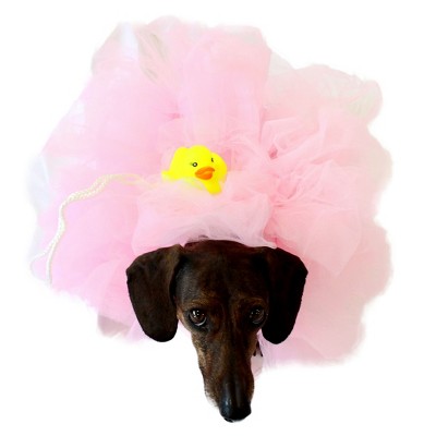 Midlee Loofah Dog Halloween Costume… : Target