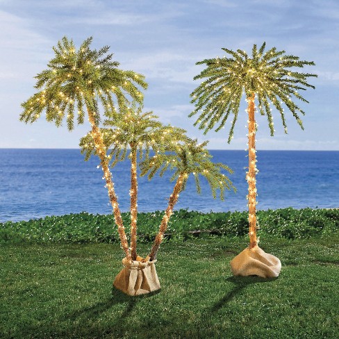 Brylanehome Pre-lit Palm Tree : Target