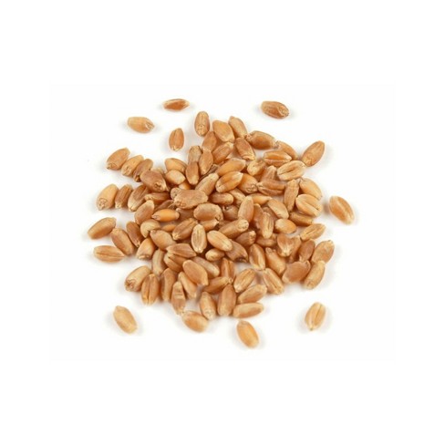 Heartland Mill Organic Hard Red Winter Wheat Berries - 25 lbs : Target