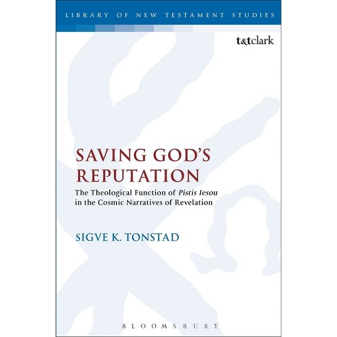 Saving God's Reputation - (library Of New Testament Studies) By Sigve K ...
