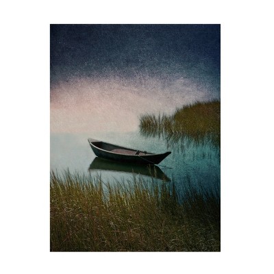 Trademark Fine Art - Brooke T. Ryan Moonlight Paddle Canvas Art - 24 X ...