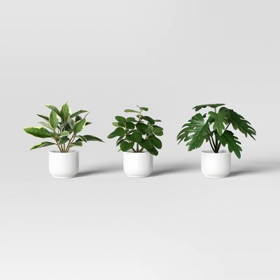 5.5" Mini Tabletop Peperomia Artificial Plant - Threshold™ : Target