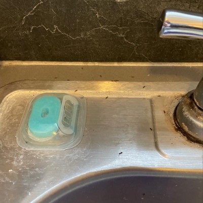 Raid Max Liquid Ant Baits - 4ct : Target