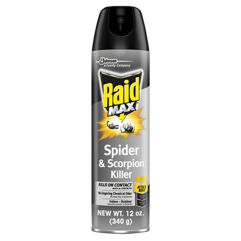 Raid Max Spider And Scorpion Killer Bug Spray - 12oz : Target