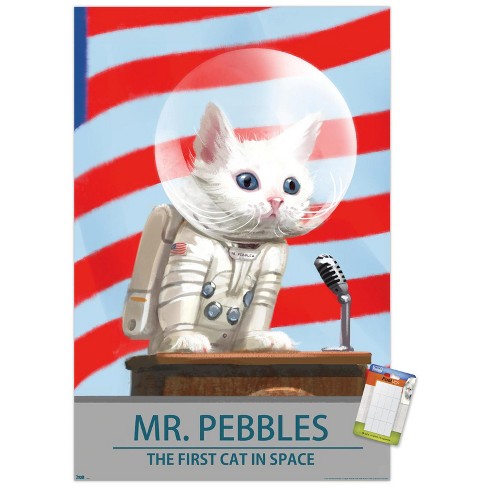 Trends International Fallout 4 - Mr. Pebbles - The First Cat In Space ...