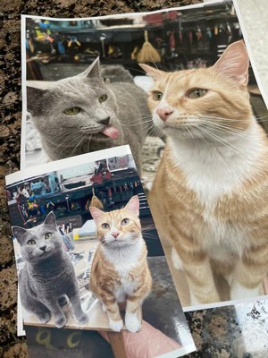 Hp Smart Tank 5101 Wireless All-in-one Color Refillable Supertank ...