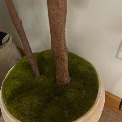 72" Artificial Ficus Tree - Threshold™ Designed With Studio Mcgee : Target