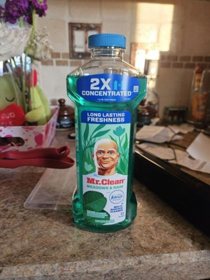 Mr. Clean Meadows & Rain Dilute Multi-surface Cleaner - 41 Fl Oz : Target