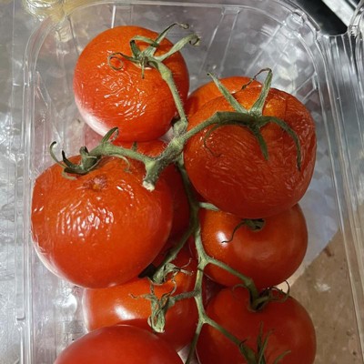 Cocktail Tomatoes - 16oz - Good & Gather™ (packaging May Vary) : Target