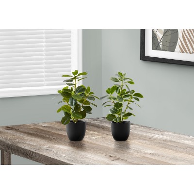 HomeStock Artificial Plant, 14" Tall, Ficus, Indoor, Faux, Fake, Table ...