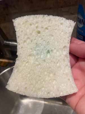 Scotch-brite Greener Clean Non-scratch Scrub Sponges - 3ct : Target