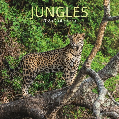 The Gifted Stationery 2025 Square Wall Calendar, Jungles, 16-month ...