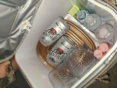 Soft Sided 26qt Roller Cooler - Embark™ : Target