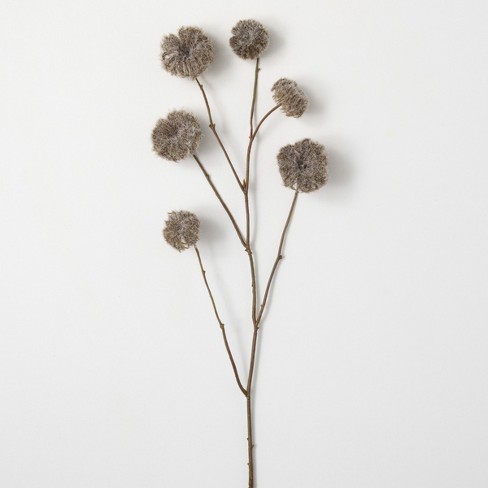 Sullivans Artificial Dried Brown Pod Stem 45"h Brown : Target