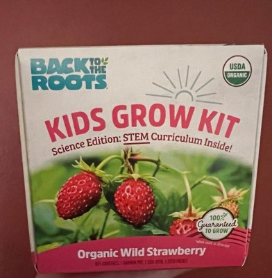 Back To The Roots Organic Alpine Strawberry Kids Grow Kit Science ...