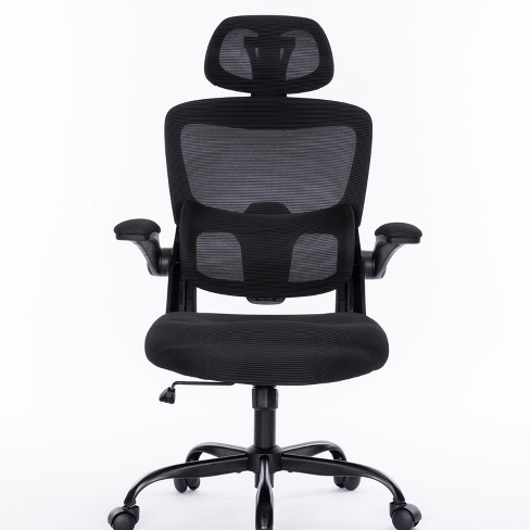 Ergonomic Mesh Task Chair With 3d Adjustable Lumbar Support, High Back ...
