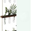 Window Garden Wall Hanging Plant Propagation Station For Hydroponic ...