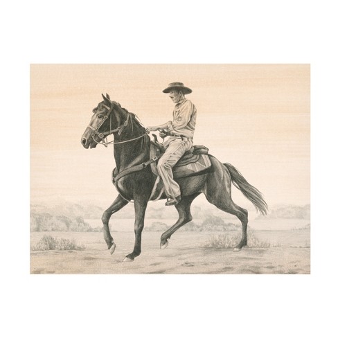 Trademark Fine Art - Grace Popp Desert Ranger Ii Canvas Art - 19 X 14 ...