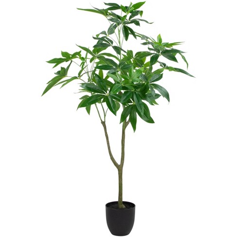 Northlight 4' Artificial Unbraided Potted Green Money Tree : Target