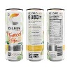 CELSIUS Sparkling VIBE Variety Pack Functional Energy Drink - 12pk/12 ...