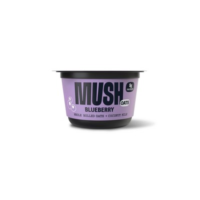 Mush Blueberry Ready To Eat Gluten Free Vegan Oats - 5oz : Target