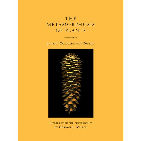 The Metamorphosis Of Plants - By Johann Wolfgang Von Goethe (paperback ...