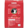 Iams Proactive Health Lamb & Rice Recipe Adult Premium Dry Dog Food ...